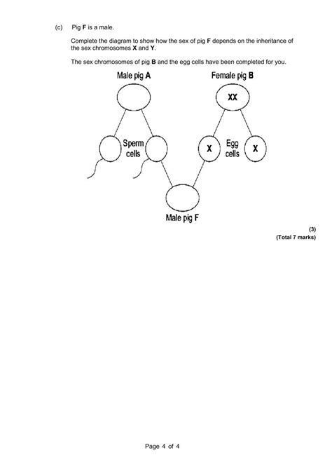 s nicolas sex determination and inheriting disorders