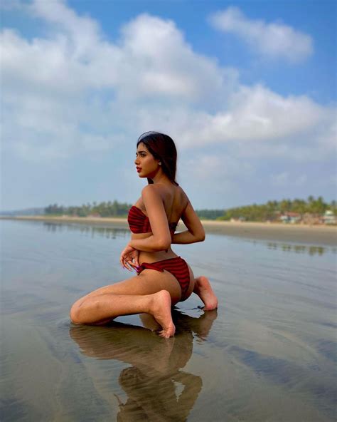 Megha Prasad Rfaptodesi