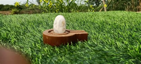 Narmadeshwar White Shivling Plain Jaldhari Shivling Mart