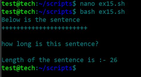 Example Of 20 Bash Script Server Gigabit Network