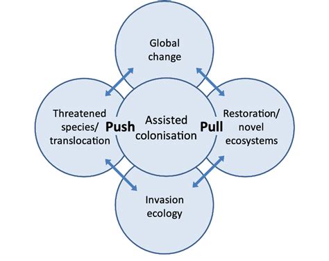 Conceptual Model Illustrating How Integration Of Push And Pull Options