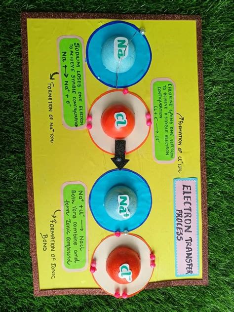 Electron Transfer Process Model Cardboard At ₹ 500 Piece In New Delhi
