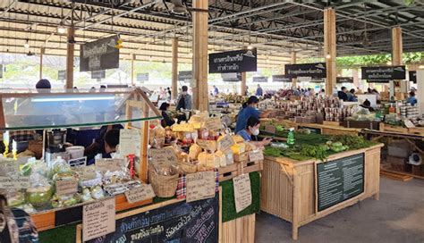 ตลาดเกษตรกร เกษตรตำบล ศูนย์รวมข้อมูลเกษตร พันธุ์ไม้ เมล็ดพันธุ์ ปุ๋ย เกษตรธรรมชาติ อัพเดด