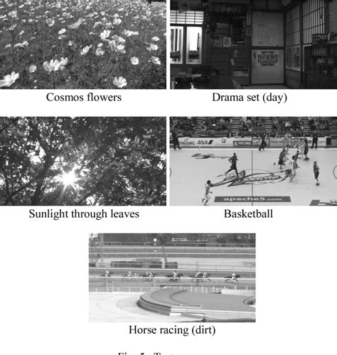 figure 1 from deep learning based transformation matrix estimation for bidirectional interframe
