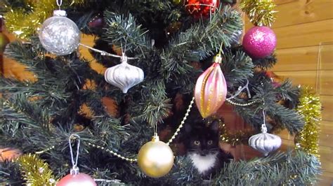 живые игрушки на елке Youtube