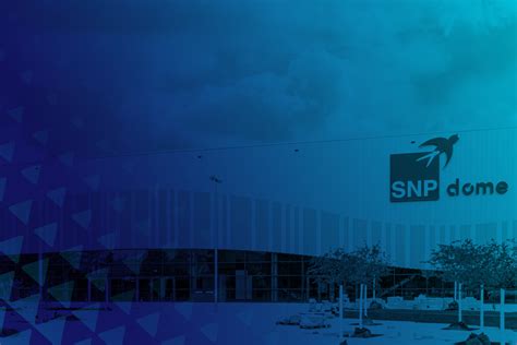 snp group snp acquires sap data specialist datavard