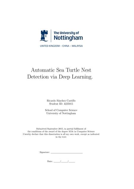 Automatic Sea Turtle Nest Detection Via Deep Learning Pdf