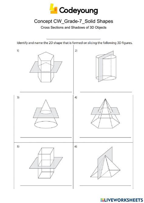 Cross Sections And Shadows Of 3d Objects Concept Cw Worksheet