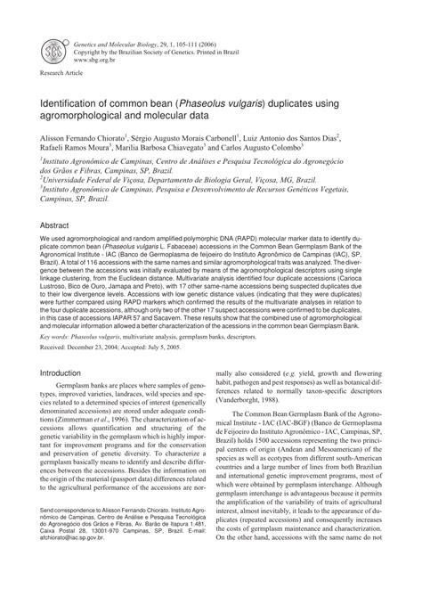 Pdf Identification Of Common Bean Phaseolus Vulgaris Duplicates Using Agromorphological And