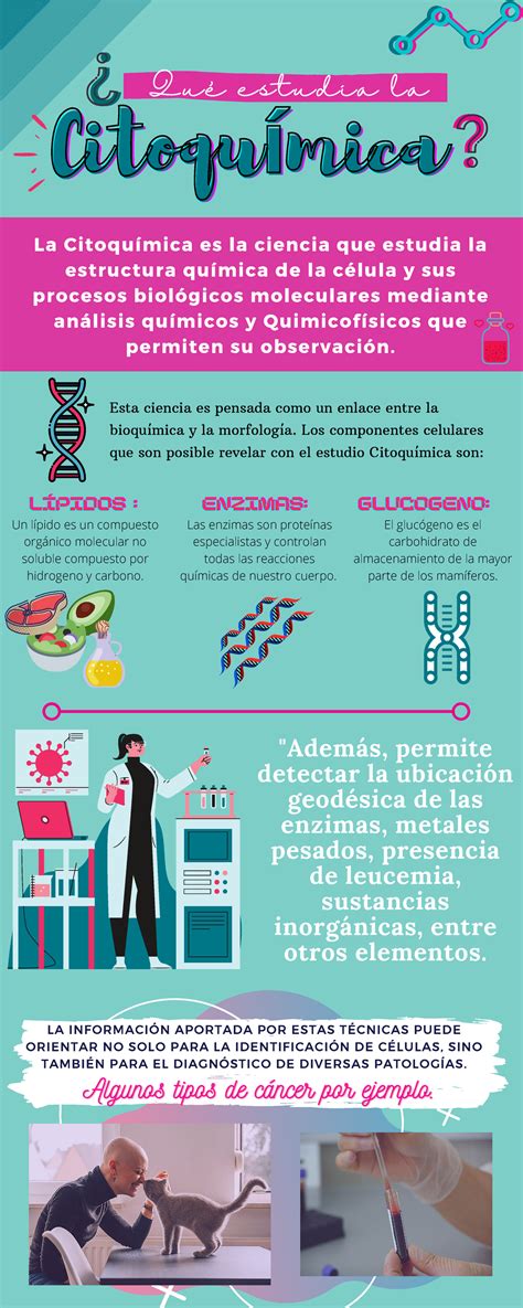 Que Estudia La Citoquimica Qué Estudia La Citoqucitoqucitoqu ííí