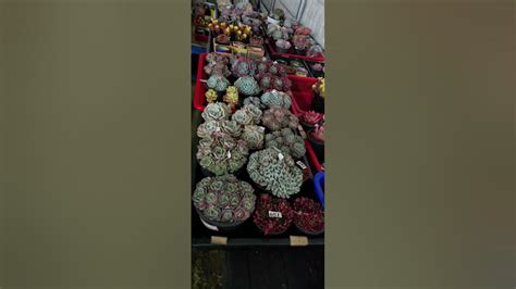 많은 사랑 주셔서 행복합니다 ️ 고맙습니다 Youtube