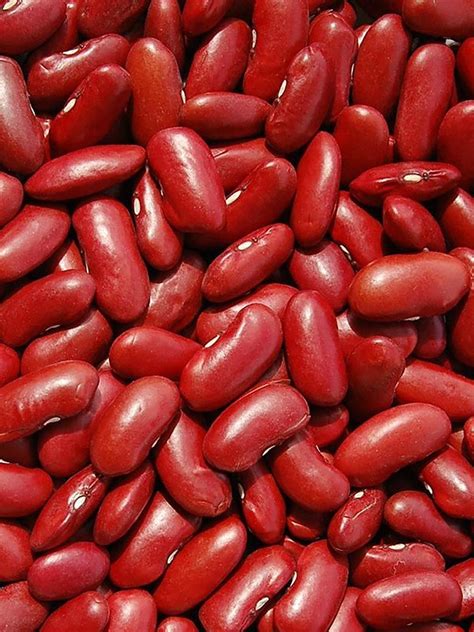 Фасоль зерновая Кидни красная (Red Kidney Beans)