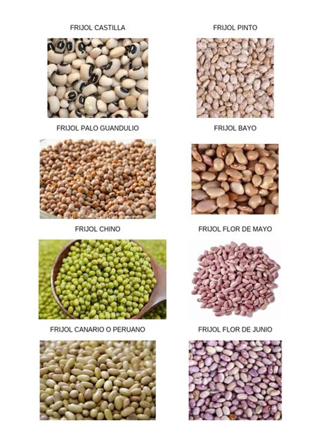 Variedades De Frijoles Peruanos Pdf