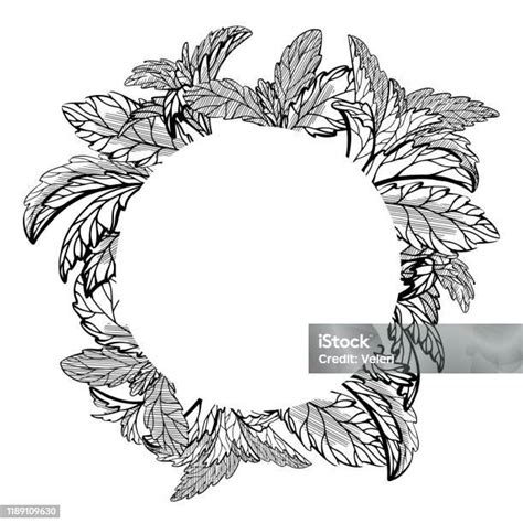 식물과 잔디의 스케치와 원 프레임 레이블에 대한 벡터 템플릿입니다 민트 스테비아 바질 개요 약초 도면 유용한 전통 의학 벡터 라운드 템플릿 원형에 대한 스톡 벡터 아트 및