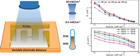 Understanding The Origin Of Light Intensity And Temperature Dependence Of Photodetection