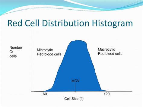 Ppt Common Laboratory Tests Powerpoint Presentation Free Download Id 6003899