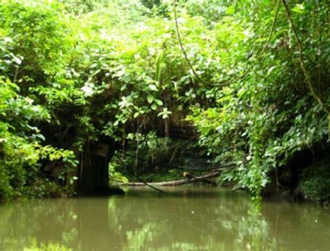 Ecosystem Integrity Underlines Human Health And Development