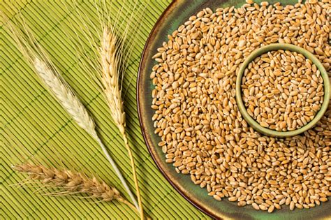 Menuai Gandum Durum Dari Varietas Yang Berbeda Bijibijian Gandum Dalam