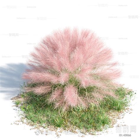 Modern Treeshrubgrass 3d Model Download Model Id 785835516 1miba