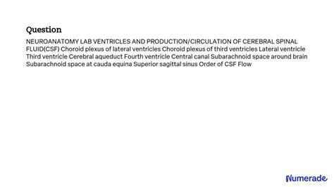Solved Neuroanatomy Lab Ventricles And Production Circulation Of Cerebrospinal Fluid Csf