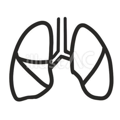 무료 벡터 제목