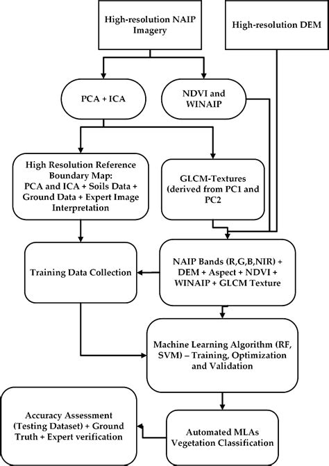 Workflow Diagram Explaining The Methods Adapted For Vegetation Download Scientific Diagram