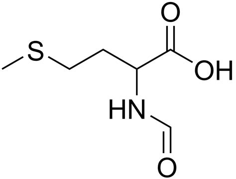 N 甲酰甲硫氨酸360百科