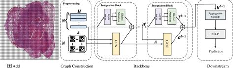 Integrative Graph Transformer Framework For Histopathology Whole Slide Image Representation And
