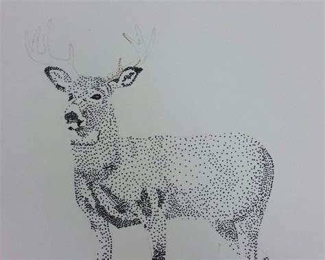 Jerdee S Art Classes Drawing A Stippling Hatching Crosshatching Project