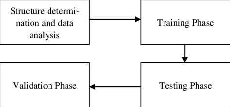 Main Phases In Ann Algorithm Download Scientific Diagram