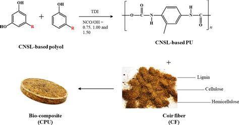 Schematic Representation Of Manufactured Bio Composites Download Scientific Diagram