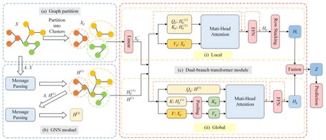 Dual Branch Graph Transformer For Node Classification