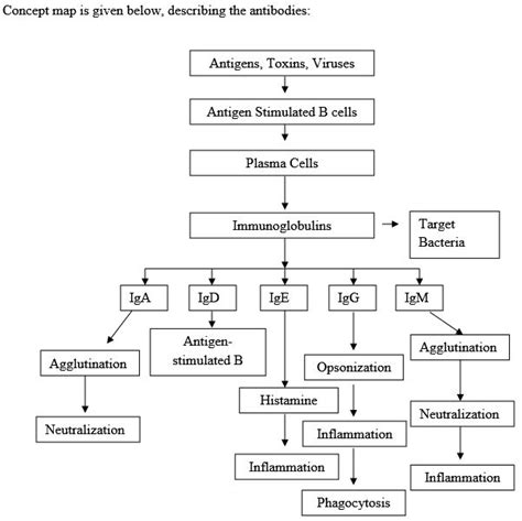 Structure And Function Of An Organ Microbiology Insights