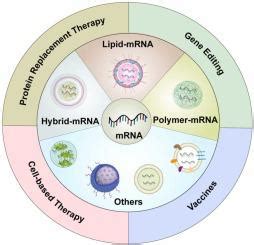 用于癌症治疗的 Mrna 递送：进展与前景nano Today X Mol