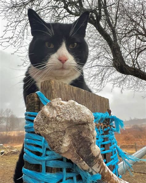 Blue Baling Twine Learning About String Magic