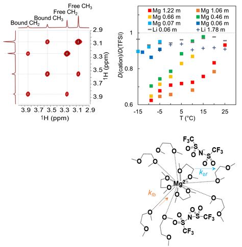 Role Of Multivalent Ion Solvent Interaction On Restricted Mg2