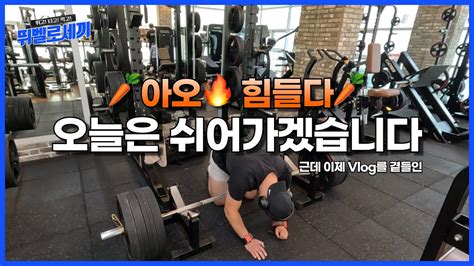 오늘은 쉬어가겠습니다근데 이제 Vlog를 곁들인 Youtube