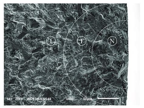 Sem Micrograph Of Aged Inconel 718 R −1 F 20 Khz σa 540 Mpa Download Scientific