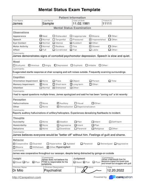 Mental Status Exam Template Example Pdf