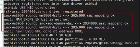 linux 音频驱动实验 codec eq csdn博客