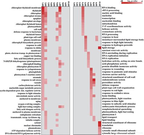 论文总结 Kmeans聚类和wgcna差异代谢物kmeans Csdn博客