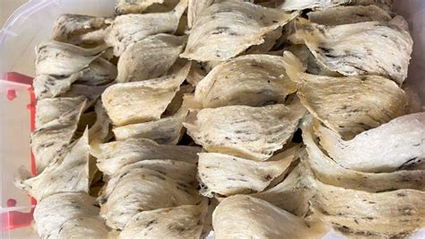 សមាគមផលិត និងនាំចេញ នឹងដាក់ដេញថ្លៃសម្បុកត្រចៀកកាំ ដើម្បីធានាតម្លៃ និងទីផ្សារ