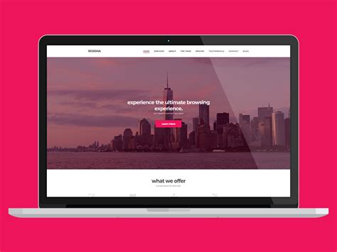 Neto ECommerce WordPress Theme Affapress