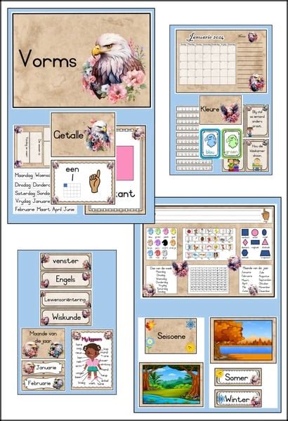 Brown Eagle Theme Bruin Aarend Tema · Dazziling School Decor