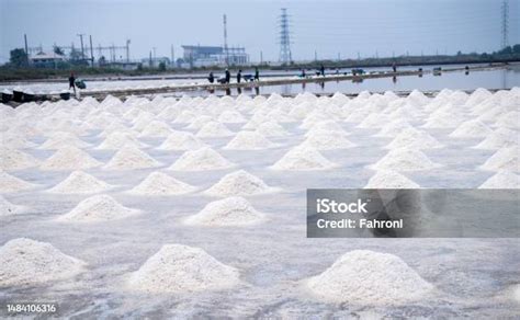 태국의 바다 소금 농장 소금물 소금 소금 산업의 원료 소금 해수의 증발 및 결정화 농장에서 일하는 노동자 소금 수확 농업 산업 리튬에 대한 스톡 사진 및 기타 이미지