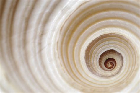 Excel Math Fibonaccis Spiral And Excel Math