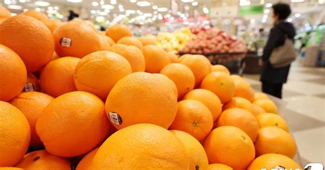 망고·오렌지 수입 과일 매출 급증