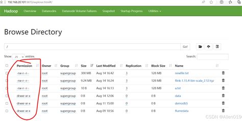 Hdfs四namenodehdfs Namenode Format Csdn博客