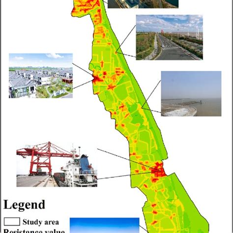 Habitat Factors Of Different Waterbirds Download Scientific Diagram