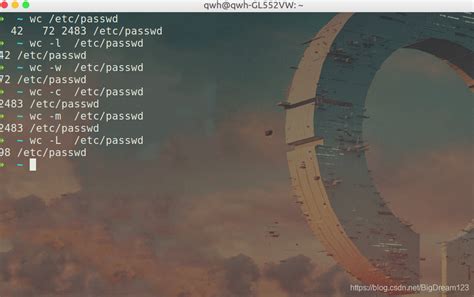 linux命令执行顺序控制与管道 linux 管道符命令没有按从左到右顺序执行 csdn博客